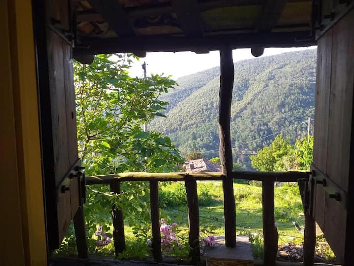 Casa Dos Livros - Lousã