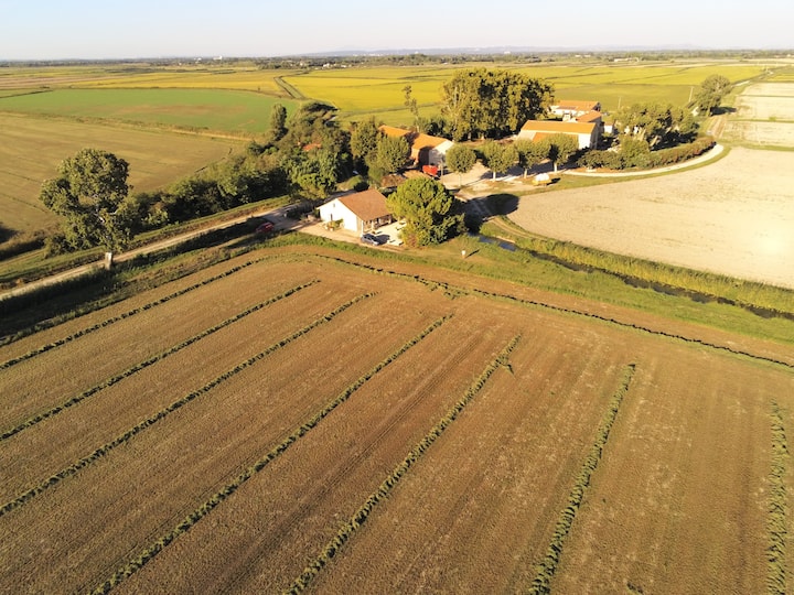 Gîte Le Rousty « Les Pieds En Camargue » - Arles