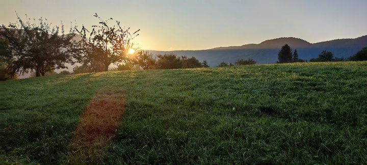 Peace, Nature And Comfort/ 1-3 / Swabian Alb - Reutlingen
