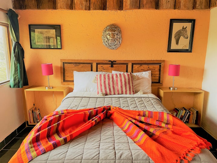 Suite "Teporingo" - En El Bosque Del Ajusco - メキシコシティ