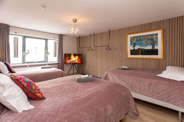 Beautiful Reykjavik - 453 - 2 Bedroom - Reikiavik