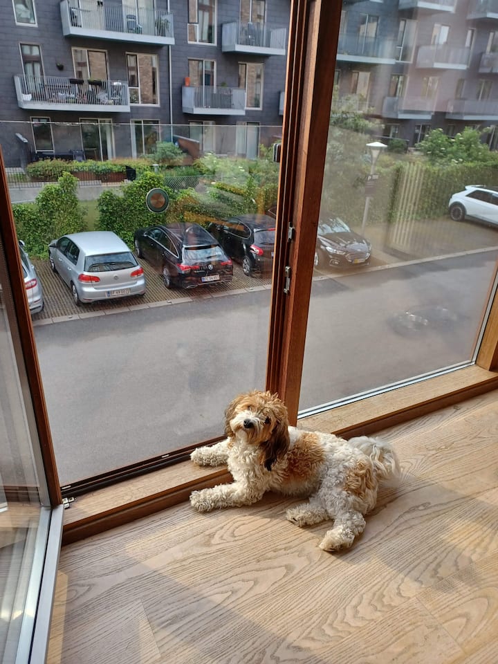 Familievenlig 3 Værelses - Copenhagen