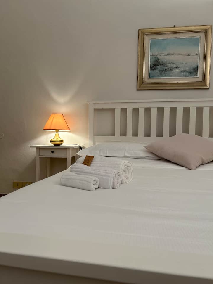 Prof. Conti Apartment - Florencia