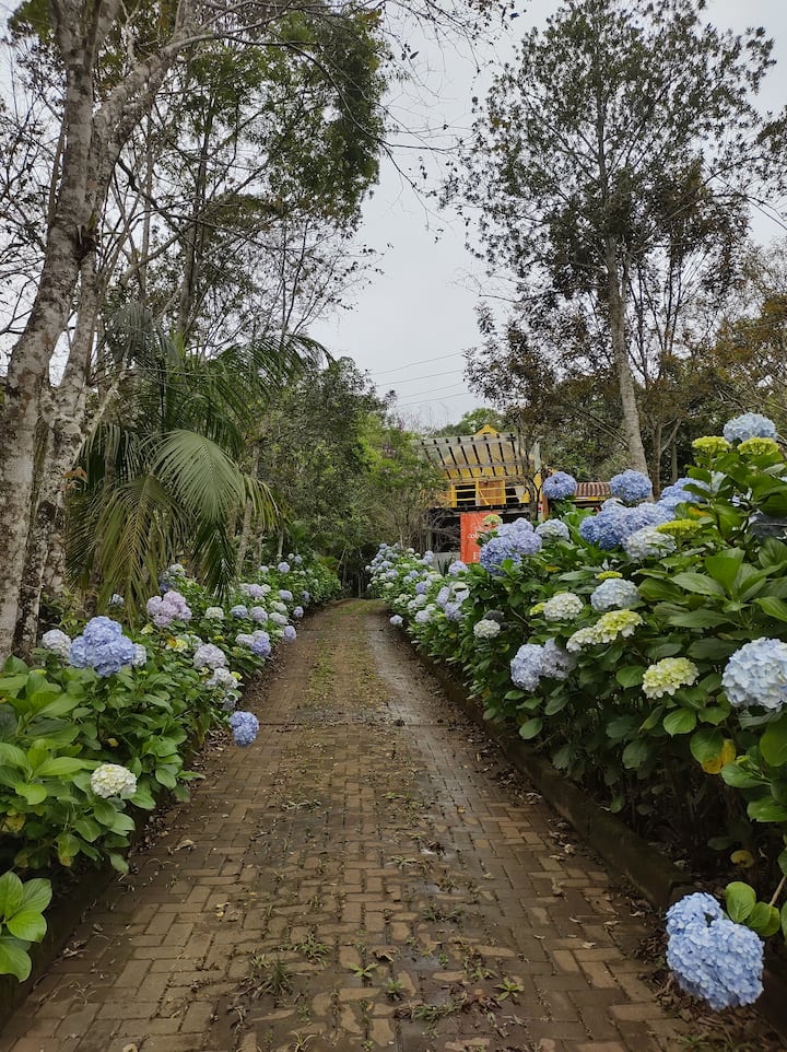 Imersão E Conexão Com E Na Natureza - Maquiné