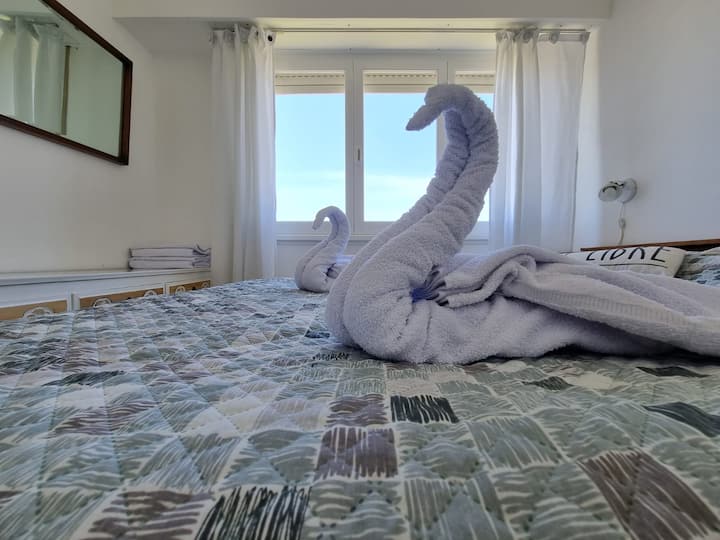 Desconectate Miramar Todo El Año - Miramar