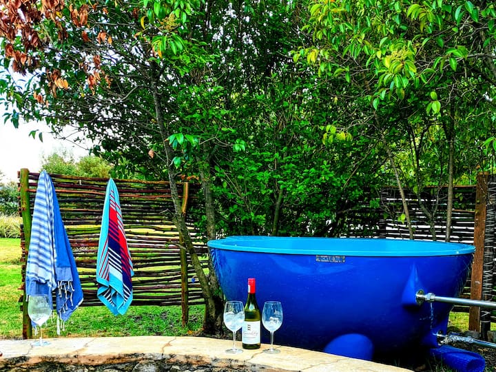Fynbos Mountain Cottage Close To Town - Ceres