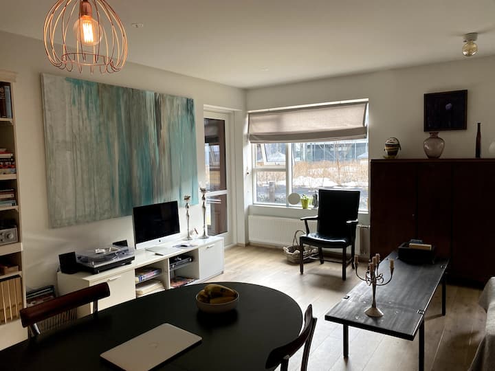 Entire Apt, Quiet Area 10 Min. Walk From Downtown. - Reykjavik