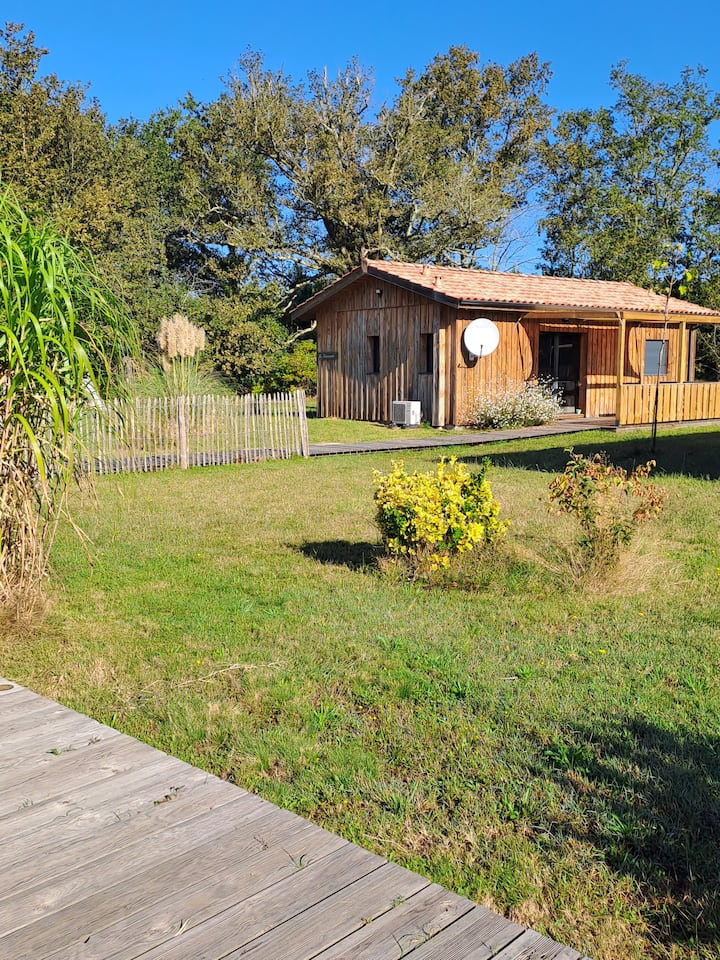 Chalet De Vacances "Tchanquées" Domaine De Sophie - Salles