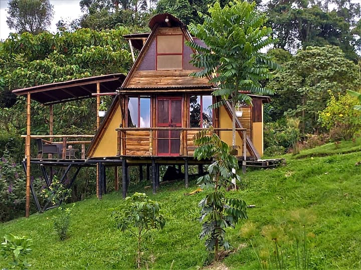 Santa Rosa de Cabal Cabin Vacation Rentals - Colombia | Airbnb