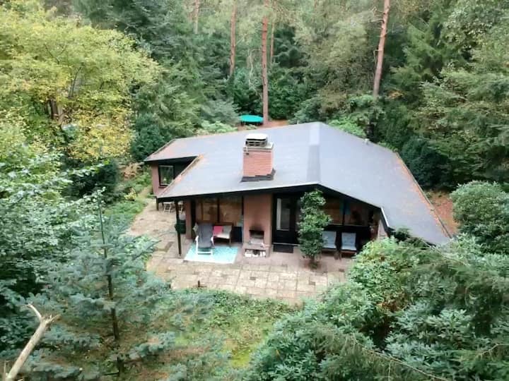 Super-fijne Bosbungalow In Vechtdal - Ommen
