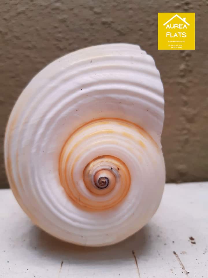 Flat 2 Barra Da Lagoa - Florianópolis