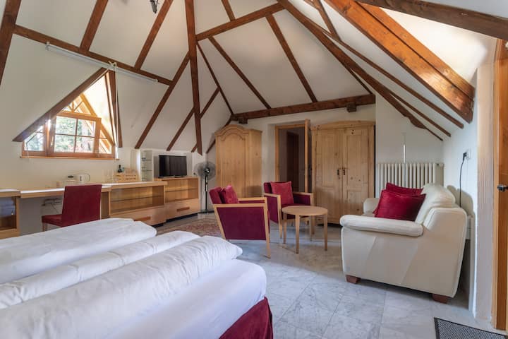 Orangerie Guestroom - Castel Pienzenau B&b - Merano