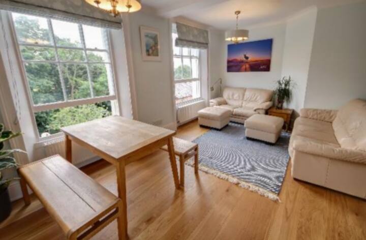 Private Room In Luxury Georgian Apartment - Exeter