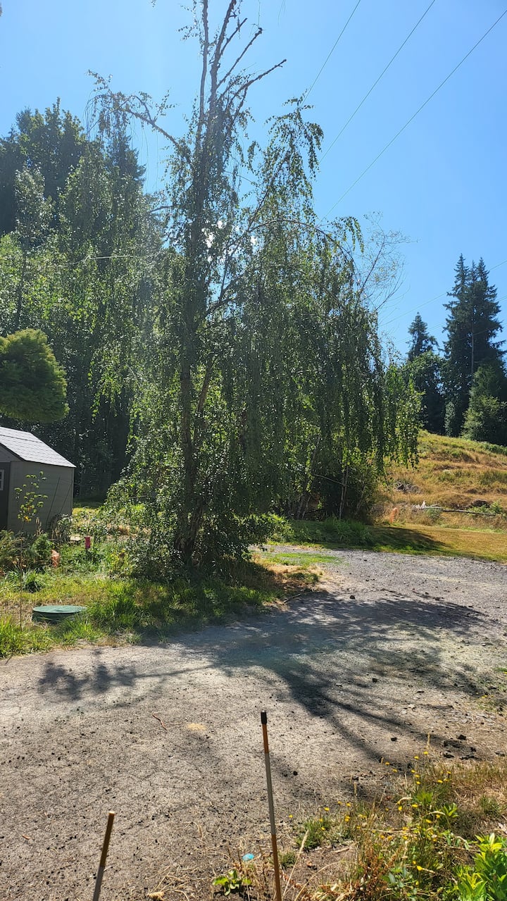 Safe Place To Stay - Longview, WA