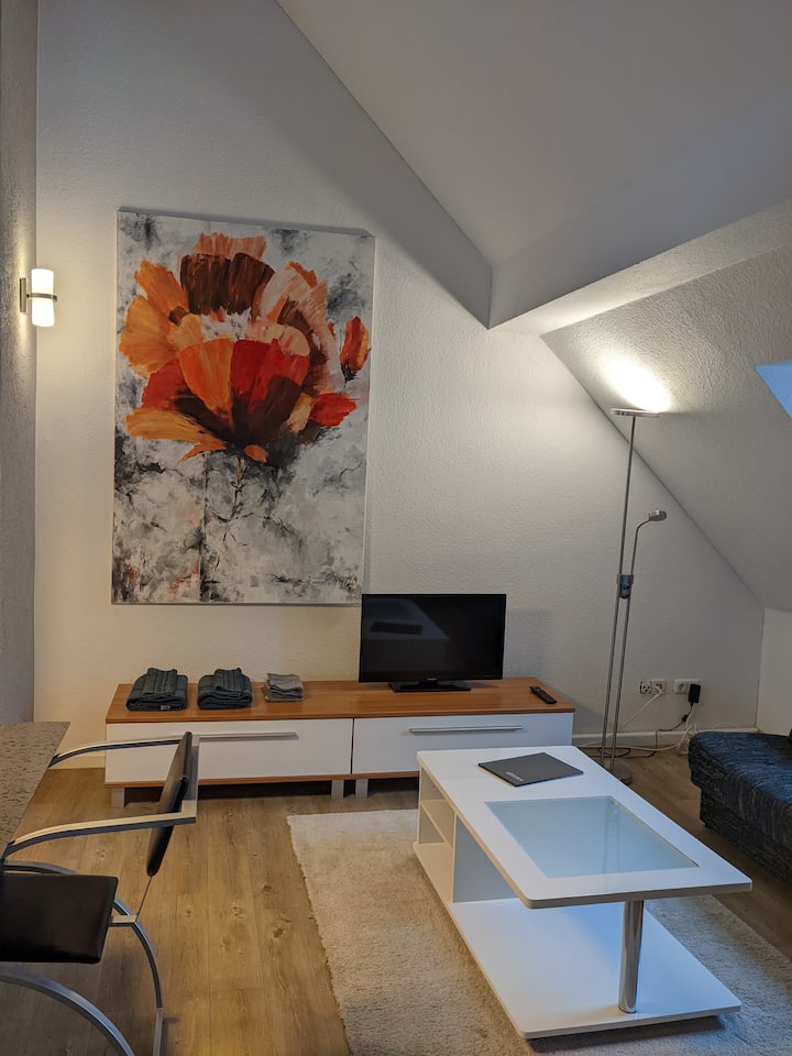 Helle, Moderne, Große Wohnung In Bonn. Wd - Bonn
