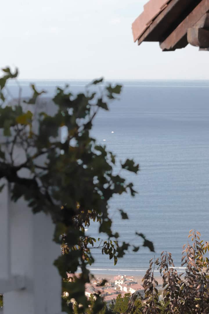 Apartamento - Andutz - Principal - Zumaia