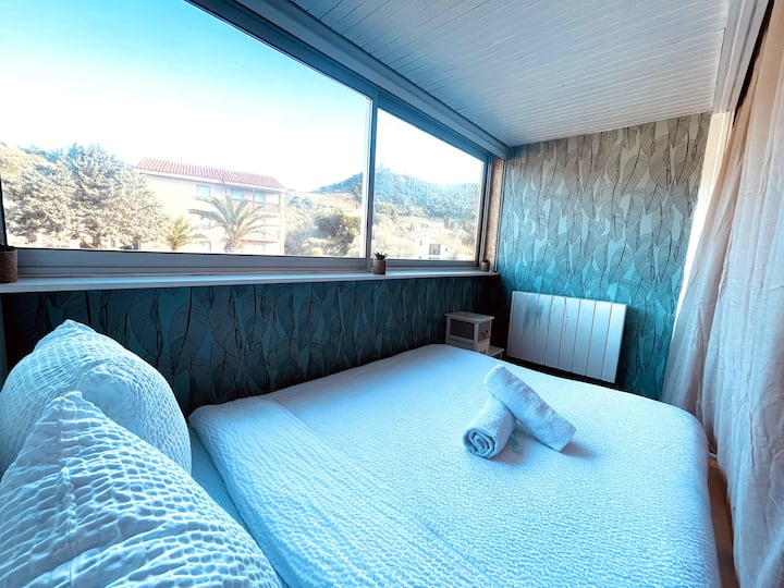05. Le Saint-elme: Logement Collioure Bord De Mer - Collioure