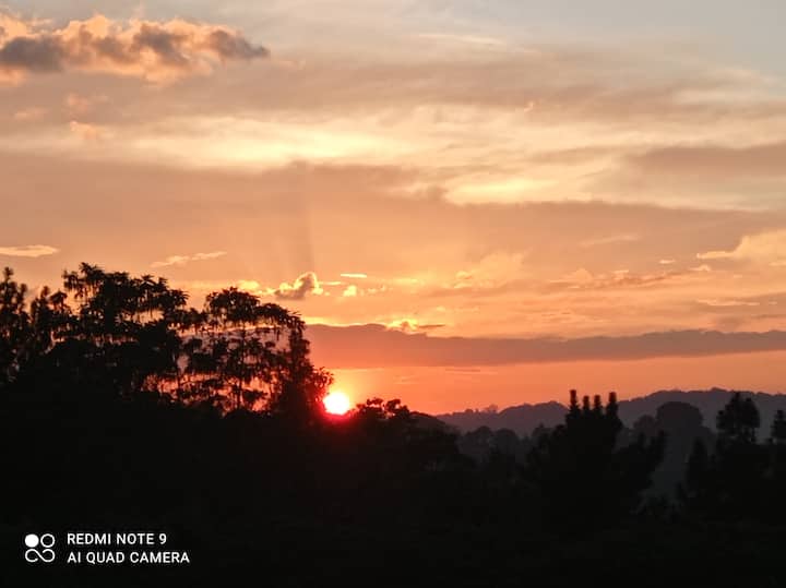 Bungalow  By Villa Forest View - Kandy