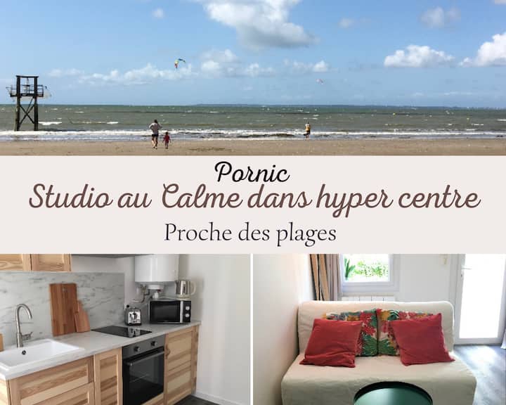 Studio Hyper Centre Pornic - Pornic