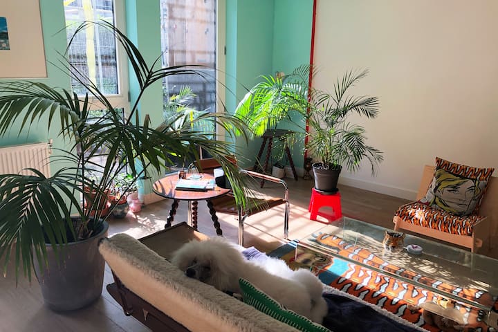 Spacious 3-bed 1 Min From Dalston Junction Station - Londres