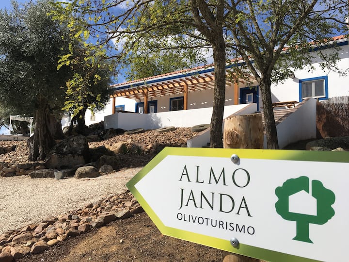 Almojanda 3 Olive Tree - Casa Galega - Marvão