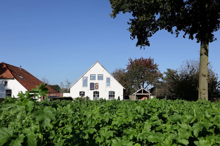 "De Aaldonk"  Landelijk Uitzicht En Rust. - Pays-Bas