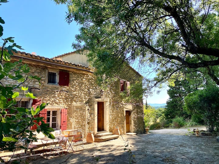 Manoir Provençal Historique - Saint-Paul-Trois-Châteaux