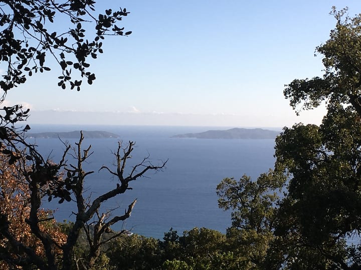 Appartement En Bord De Mer - Rayol-Canadel-sur-Mer