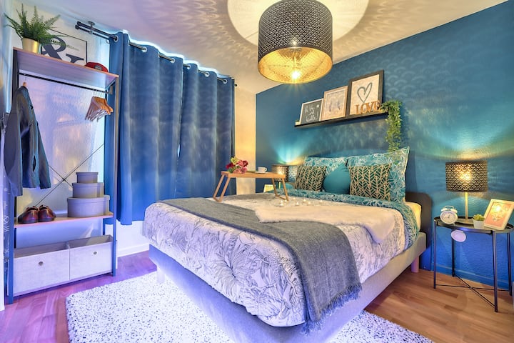 Très Chic Appartement Au Centre De Nancy - Nancy