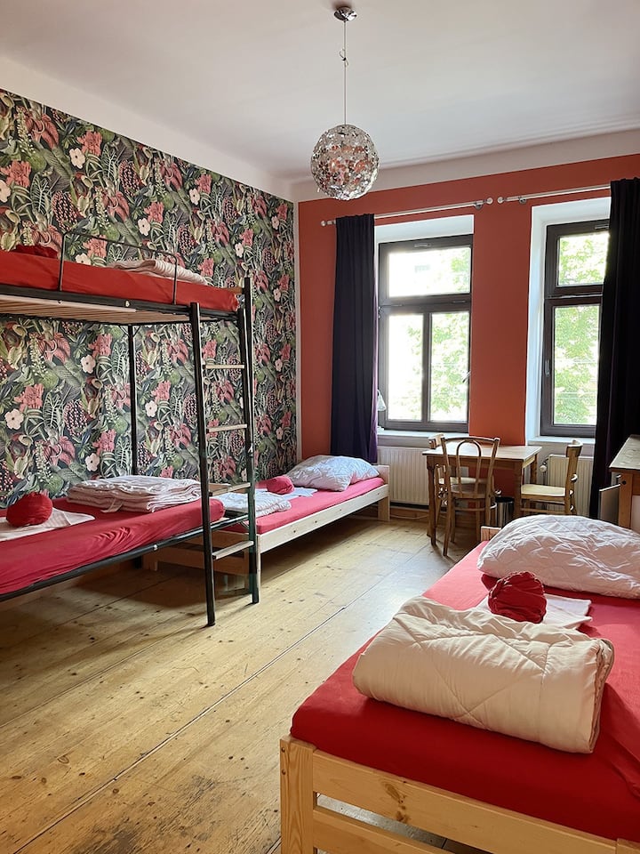 Lit En Dortoir Mixte à 4 Lits - Leipzig