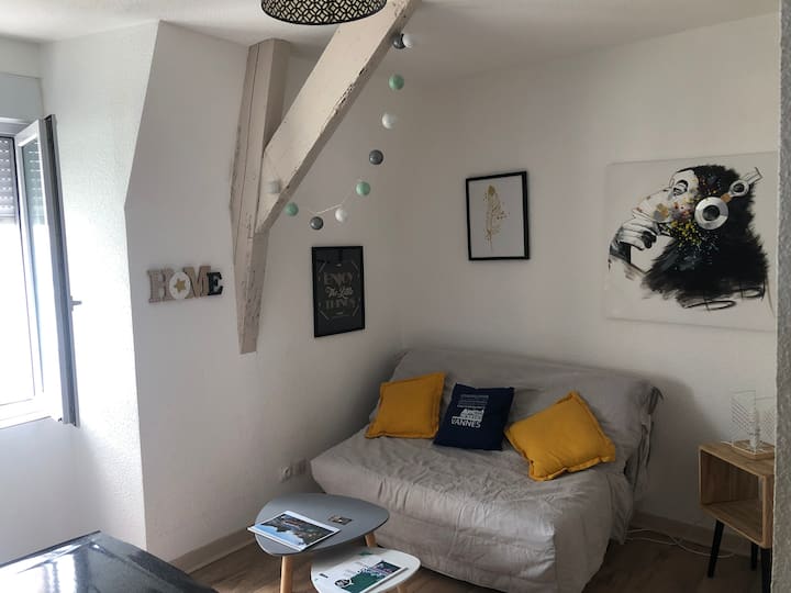 Studio 18 M2 Cœur De Ville - Vannes