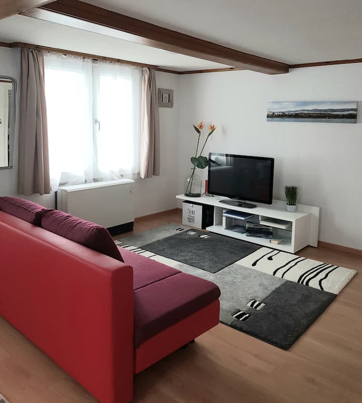 Eigene Wohnung Im Zentrum Von Rheineck - Sankt Anton