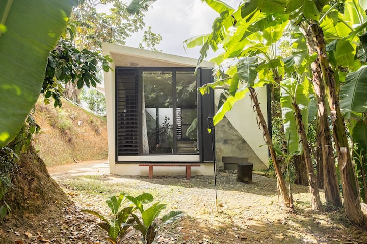 Farm Suite San Pedrito - 波多黎各