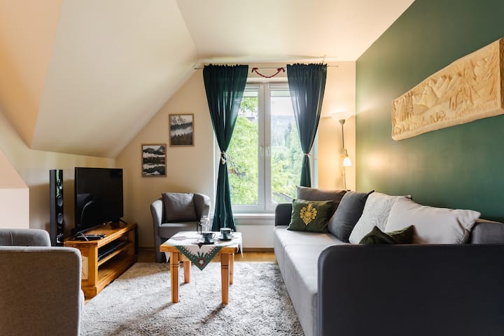 Apartament Mikołaj Zakopane - Zakopane