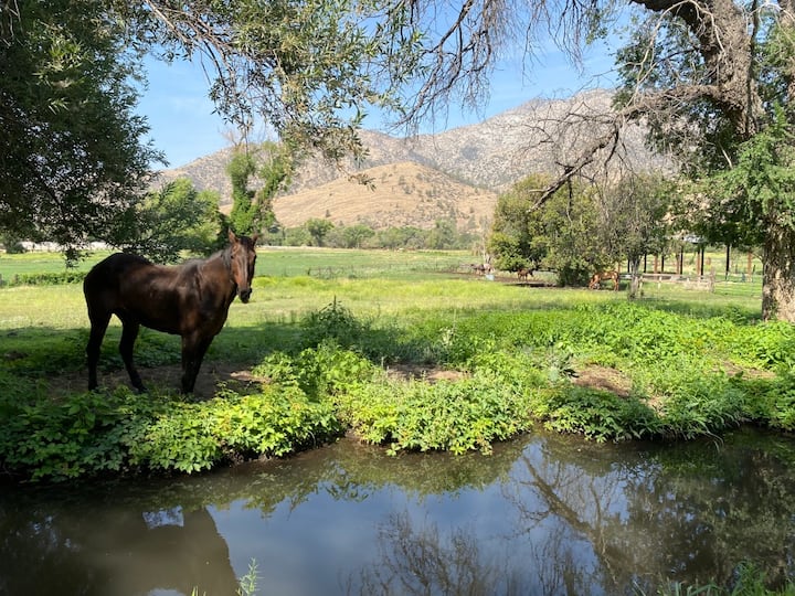 Top 10 Airbnb Vacation Rentals In Kernville, California - Updated 2024 ...