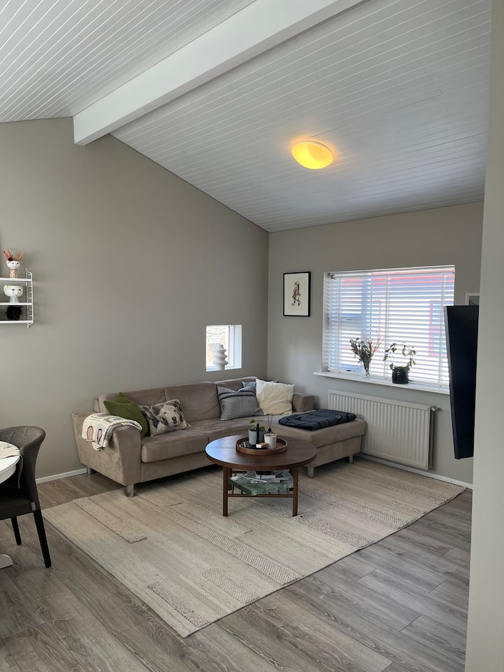 Bright One-bedroom Apartment In Reykjavik - Reykjavik