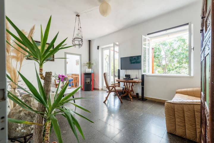 Stone House Filipin - Jungle In The Center Of Hvar - 赫瓦爾島