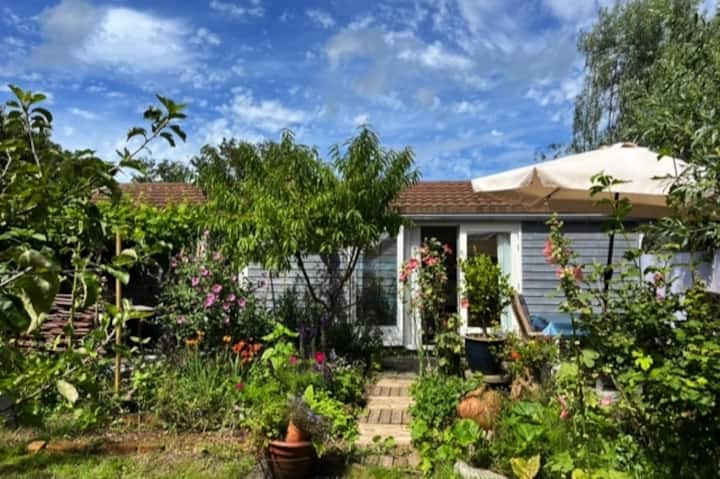 Zonnig Huisje Vlakbij Duinen, Bos En Strand - Alkmaar