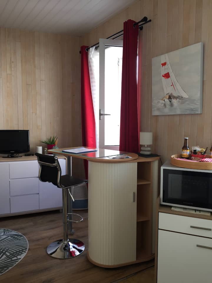 Studio Meublé Au Port De Tréboul, Finistère Sud,dz - Douarnenez