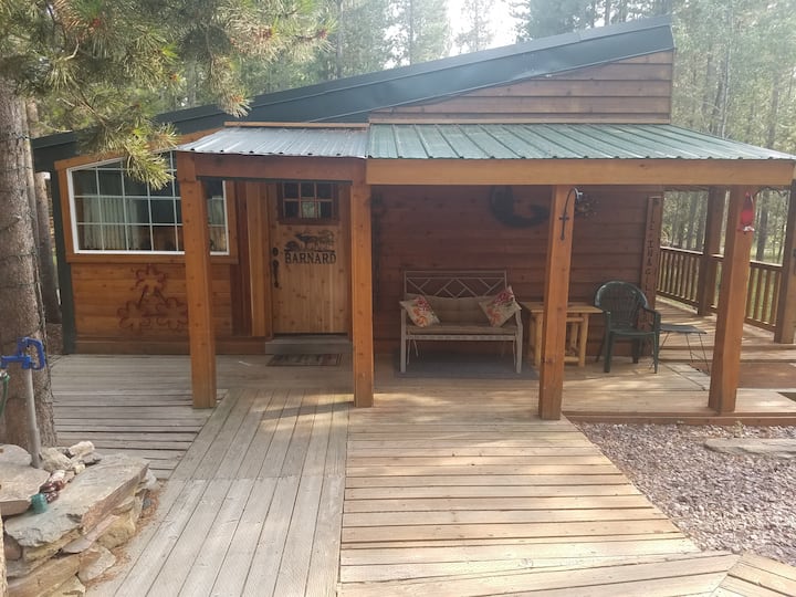 Perfect Location! Close To Yellowstone!! - Island Park, ID
