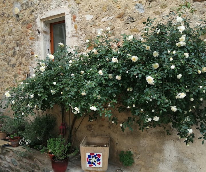 Maison Cosy Au Calme Rénovée Très Bien Isolée - Dieulefit