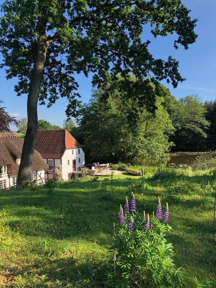 Røde Mølle. Vandmølle Med Sø Ved Langesøskoven - Odense