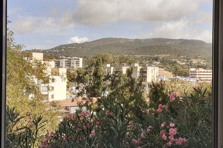 Ajaccio, Charmant Pied à Terre ! - Ajaccio