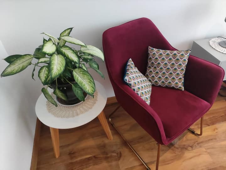 Studio "Chez Lenostre" - Rouen