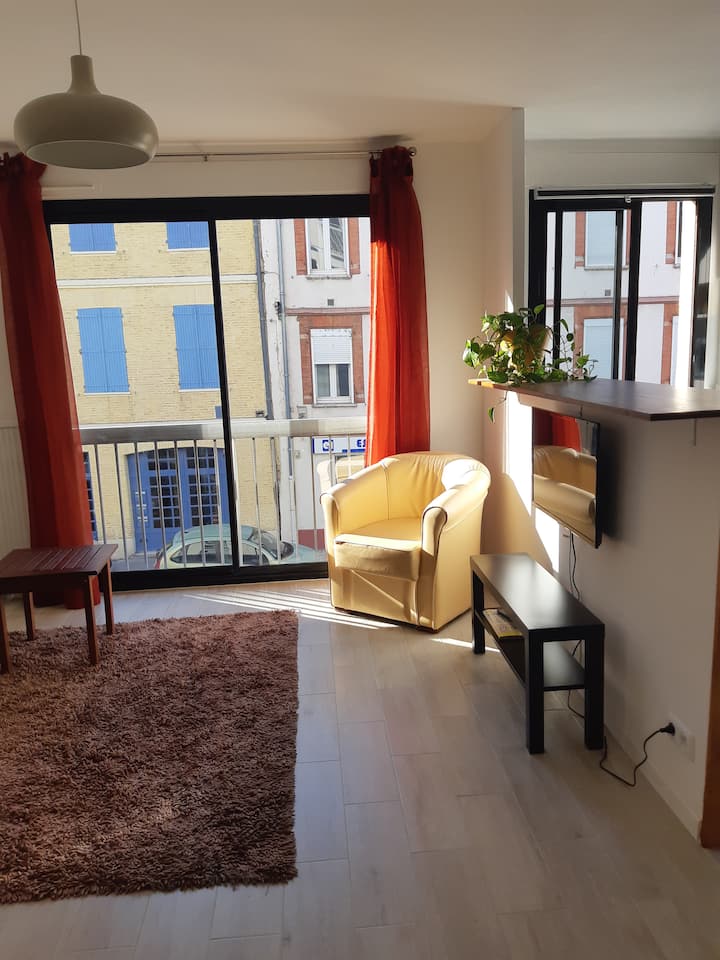 St Cyprien Grand T2 Rénové, Terrasse 16 M² Parking - Toulouse