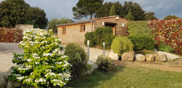 Chalet De Charme Climatisé Sur La Route Du Ventoux - Carpentras