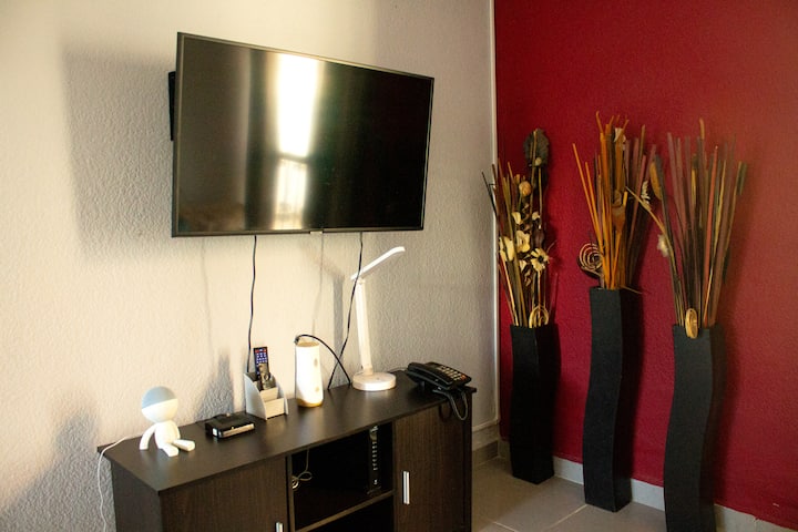 Casa Céntrica & Pet Friendly - San Luis Potosí