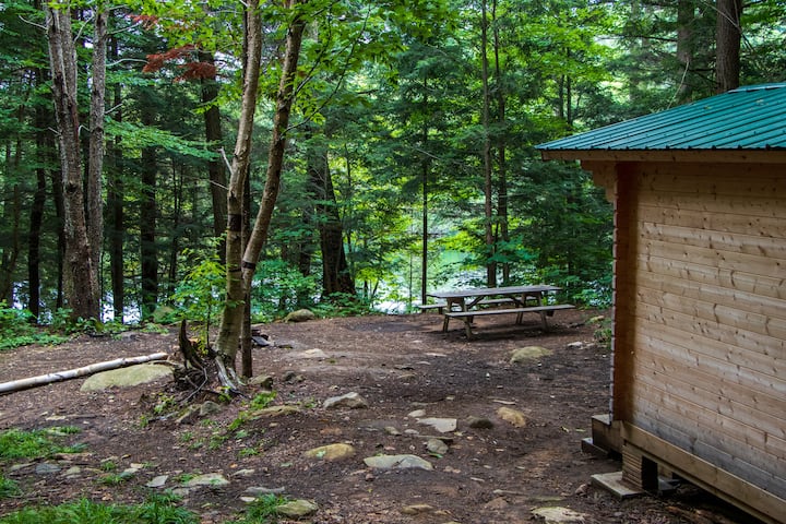 Buck North 3 - Parc provincial Algonquin