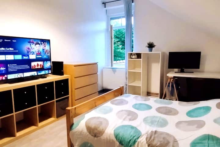 Chambre Dans Maison En Bordure De Forêt - Freyming-Merlebach