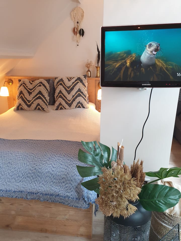 Duplex Huis Met Privé Sauna In Natuur Omgeving - Province d'Anvers